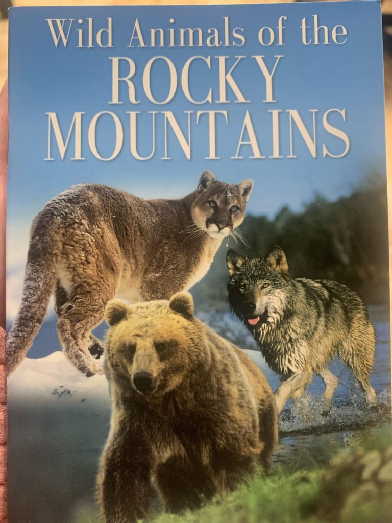 Wild Animals of the Rocky Mountains - Museum of the Mountain Man